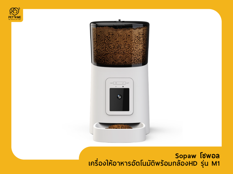 5 กิจกรรมสุดฮิต ที่ทำให้สุนัขได้ออกกำลังกายไปพร้อมกับคุณ | The 1 Today ...