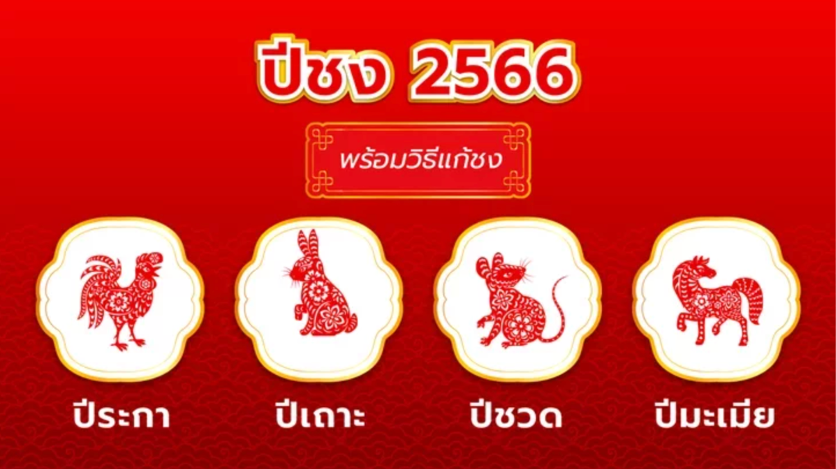 ปีชง 2566 ปีนักษัตรปีเถาะ มีปีไหนชงบ้าง พร้อมวิธีแก้ปีชง | The 1 Today ...